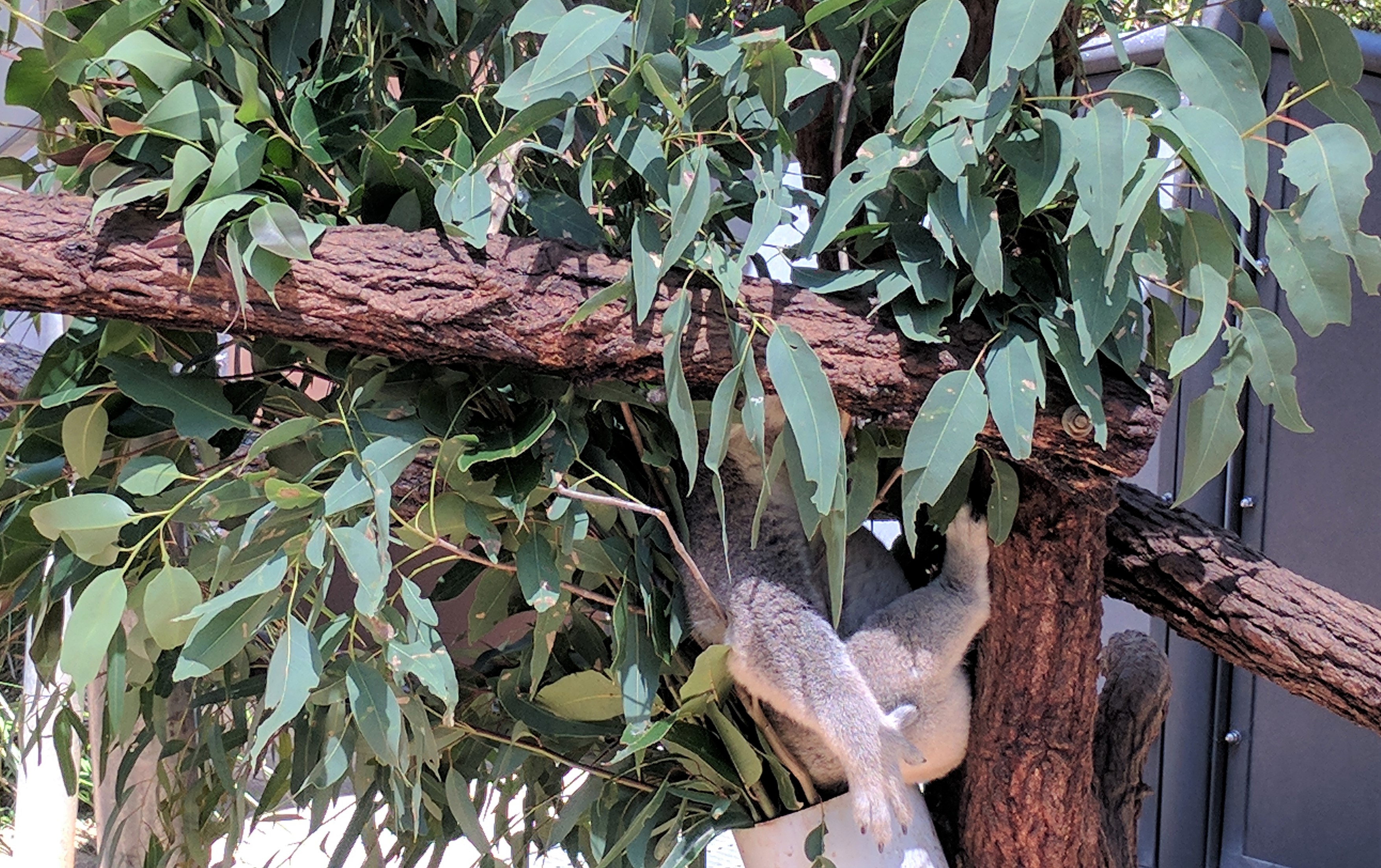 i see you there – Working While Wandering